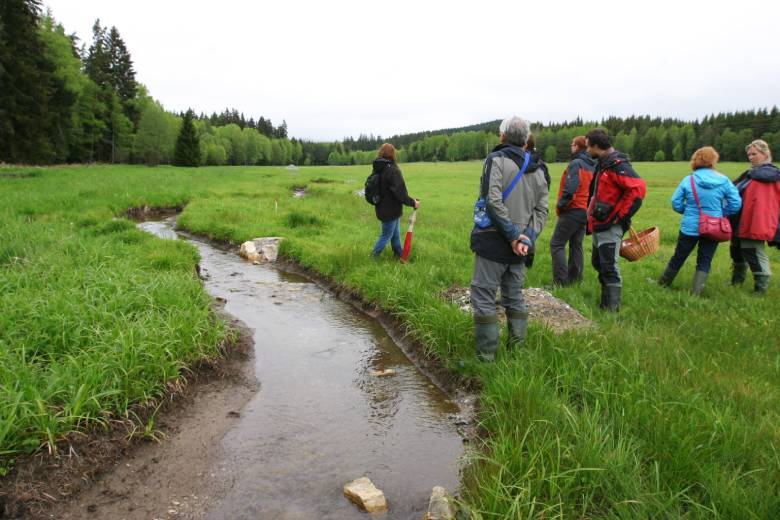 Guided excursions – LIFE for MIRES